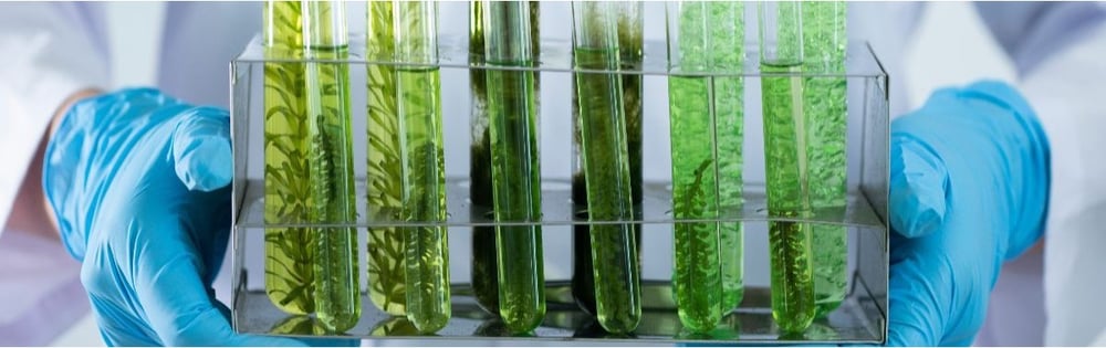 有害PFASに代わる次世代素材を日本へ デンマーク発・BioHalo社、日本市場へ進出開始 - Intralink | Intralink